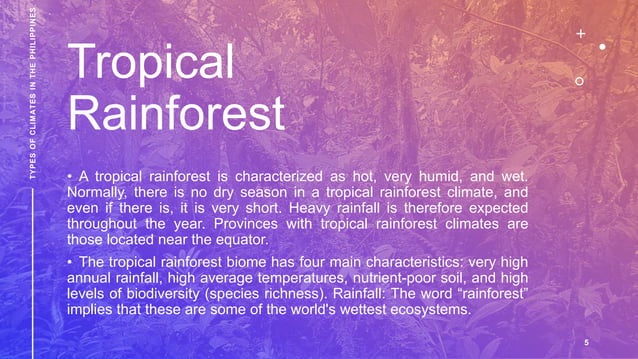Types of Climates in the Philippines.pptx | Weather | Science