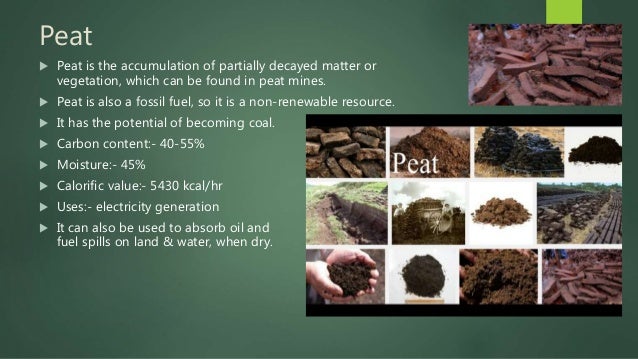 Coal & Its Types
