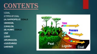Types of coal | PDF