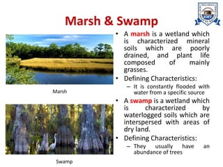 Types of coal, ranking of coal and their properties.pptx