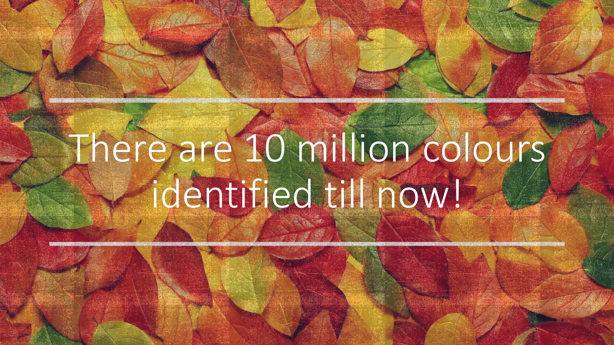 Types of colors | PDF