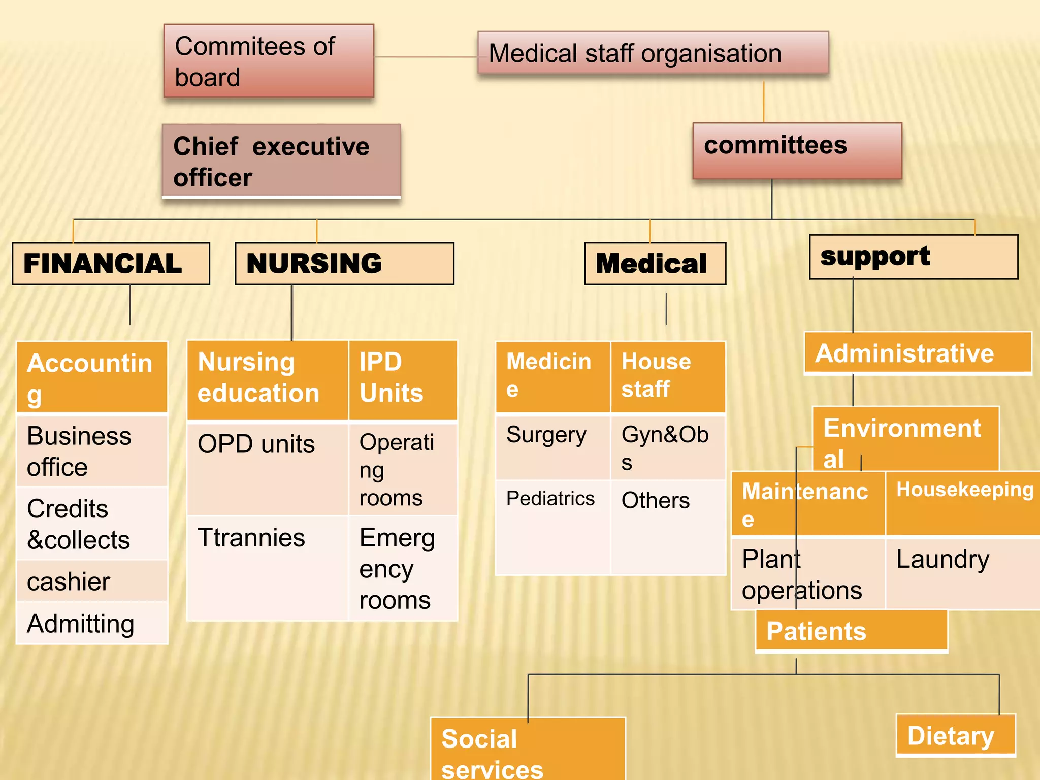 Types of committees governing health care teams | PPTX