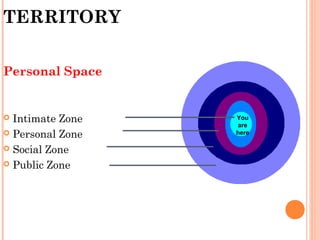 Types of communication | PPT