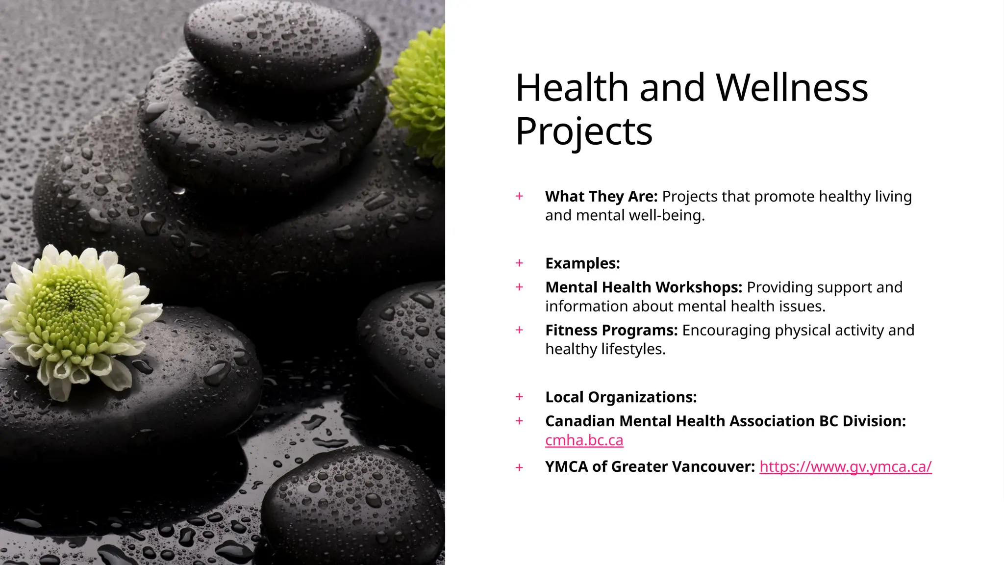 Exploring Types of Community Projects.pptx