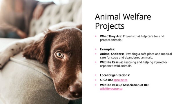 Exploring Types of Community Projects.pptx