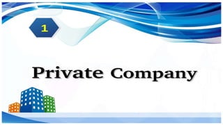 Types of companies.pptx