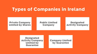 Types of Companies in Ireland | PDF