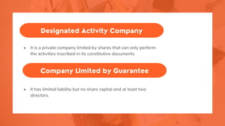 Types of Companies in Ireland | PDF