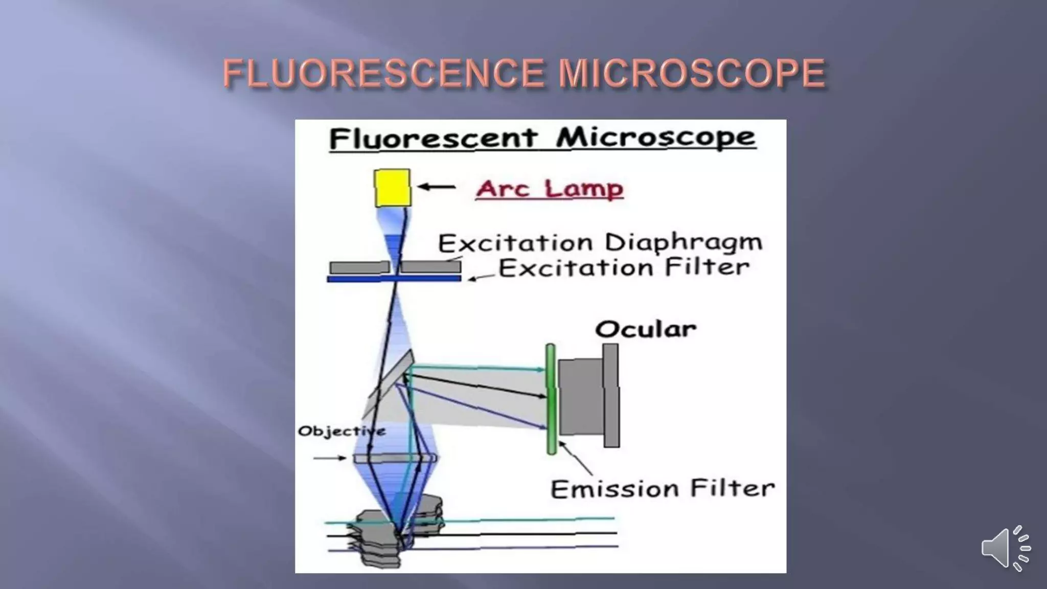 Types of compound microscope | PPTX