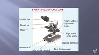 Types of compound microscope | PPTX