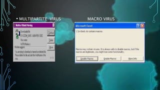 Types of computer viruses | PPTX