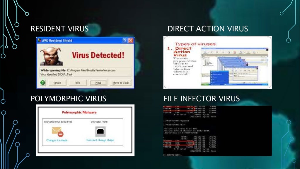 Types of computer viruses