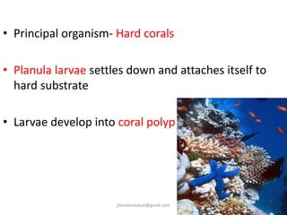 Types of coral reefs and its distribution | PPTX