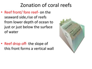 Types of coral reefs and its distribution | PPTX