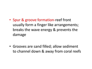 Types of coral reefs and its distribution | PPT