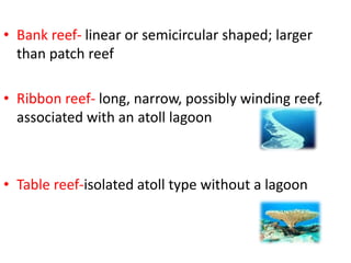 Types of coral reefs and its distribution | PPTX