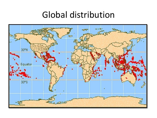 Types of coral reefs and its distribution