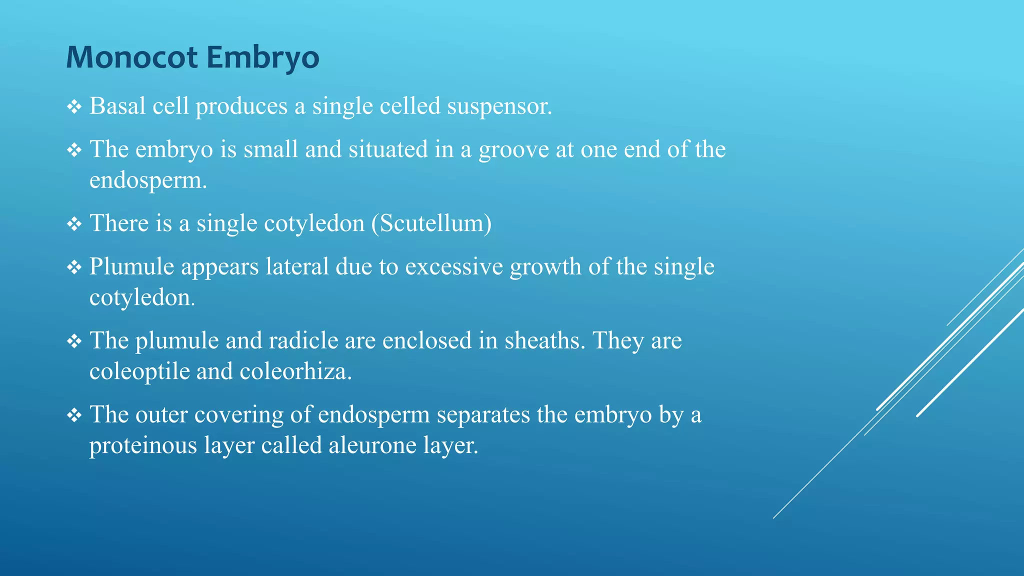 Types of cotyledons, embryo and endosperm | PPTX