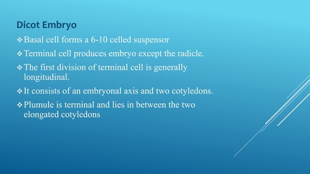 Types of cotyledons, embryo and endosperm | PPTX