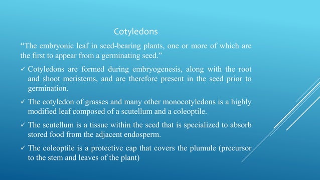 Types of cotyledons, embryo and endosperm | PPTX