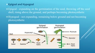 Types of cotyledons, embryo and endosperm | PPTX