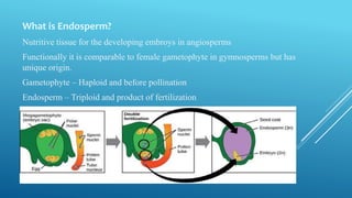 Types of cotyledons, embryo and endosperm | PPTX