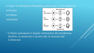 Types of cotyledons, embryo and endosperm | PPTX