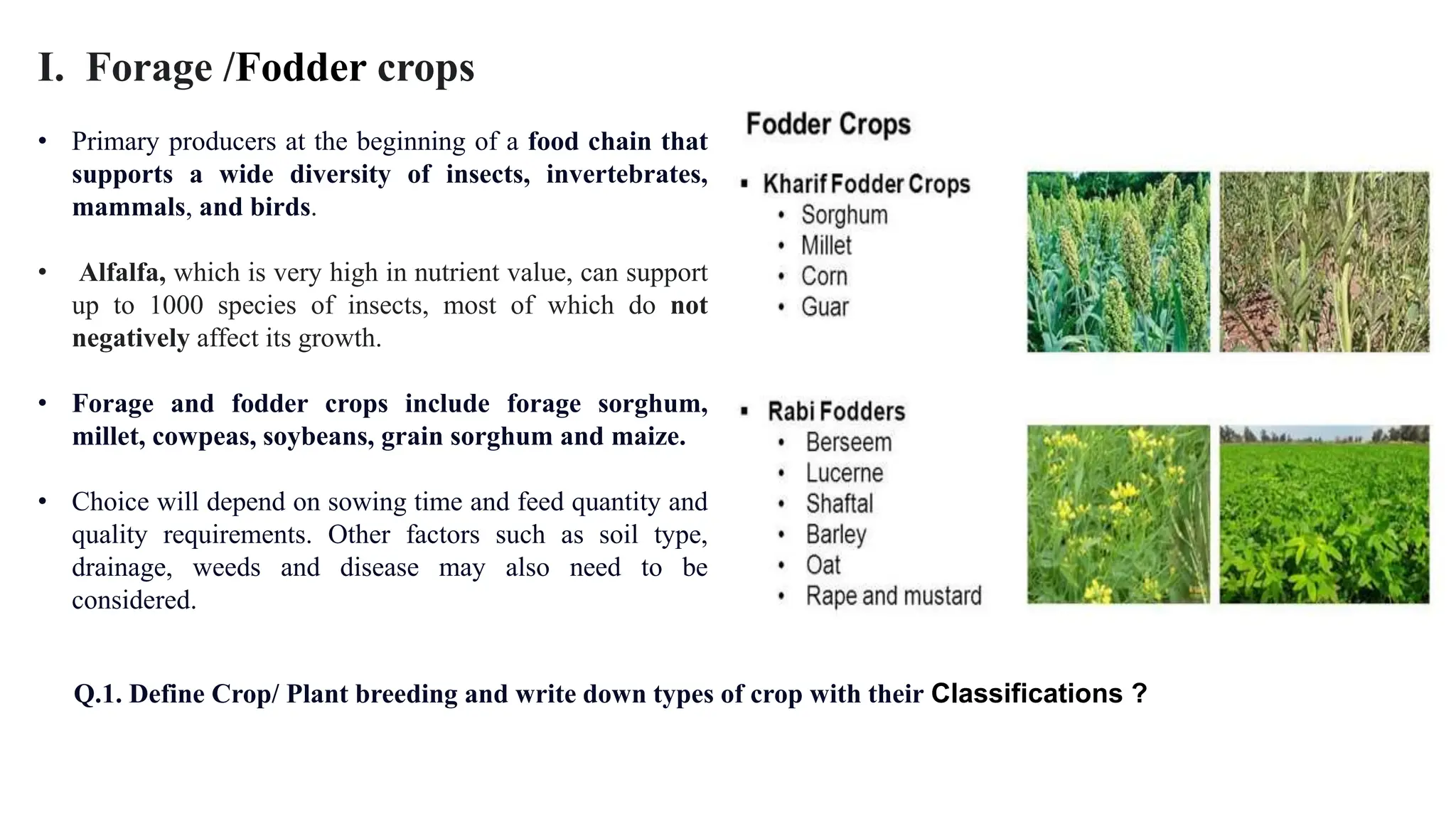 What is crop , Plant breeding ? Types of Crop Classifications of crops.pptx