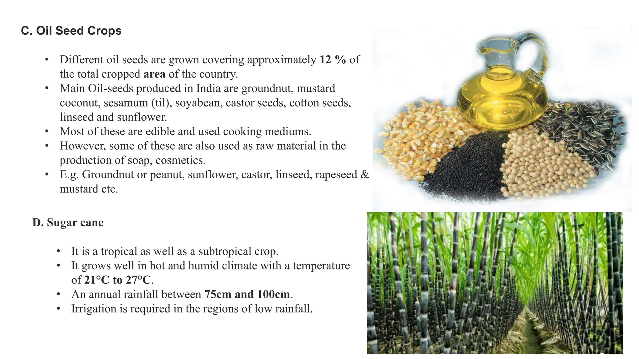 What is crop , Plant breeding ? Types of Crop Classifications of crops.pptx
