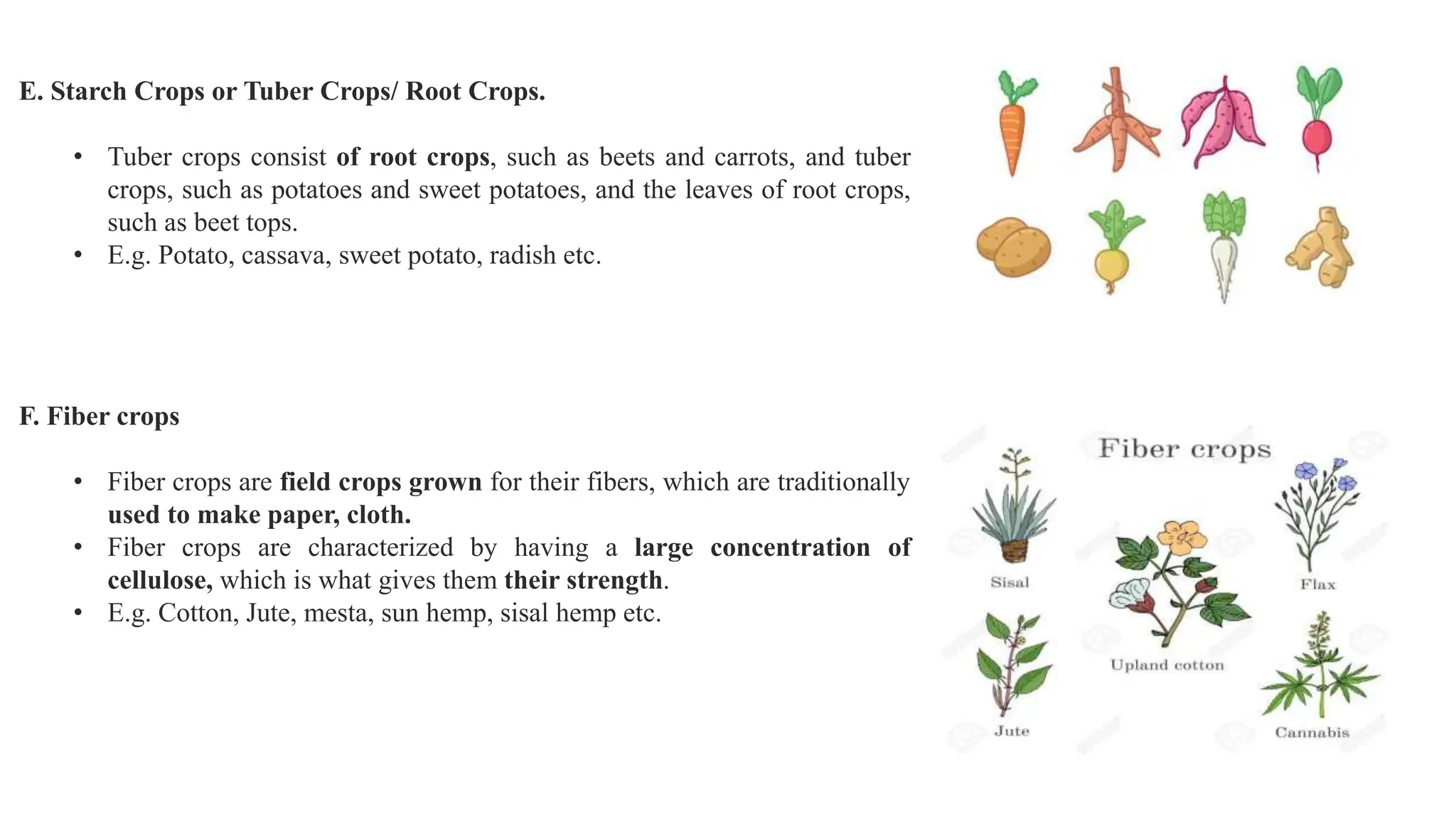 What is crop , Plant breeding ? Types of Crop Classifications of crops.pptx