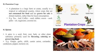 What is crop , Plant breeding ? Types of Crop Classifications of crops.pptx