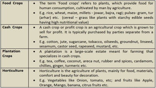 What is crop , Plant breeding ? Types of Crop Classifications of crops.pptx