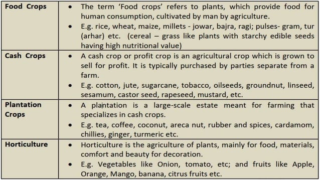 What is crop , Plant breeding ? Types of Crop Classifications of crops.pptx