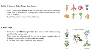 What is crop , Plant breeding ? Types of Crop Classifications of crops.pptx