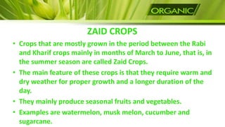 Types of crops | PPTX