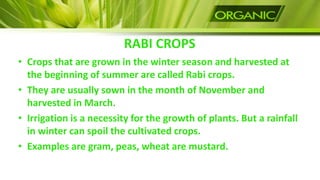 Types of crops | PPTX