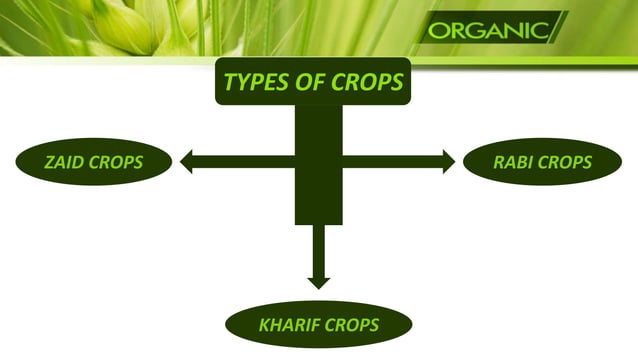 Types of crops
