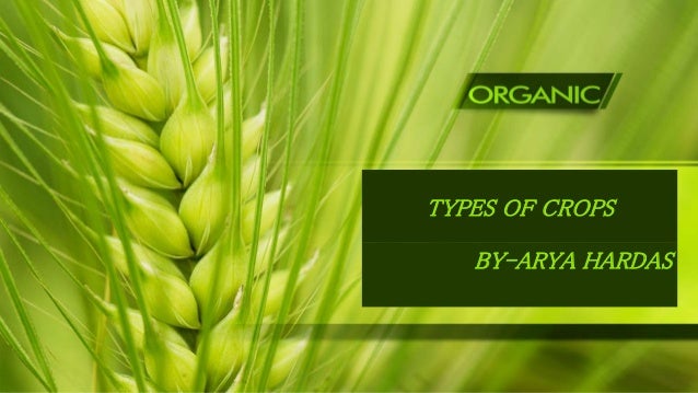 Types of crops