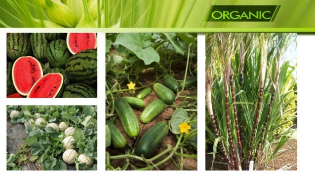 Types of crops