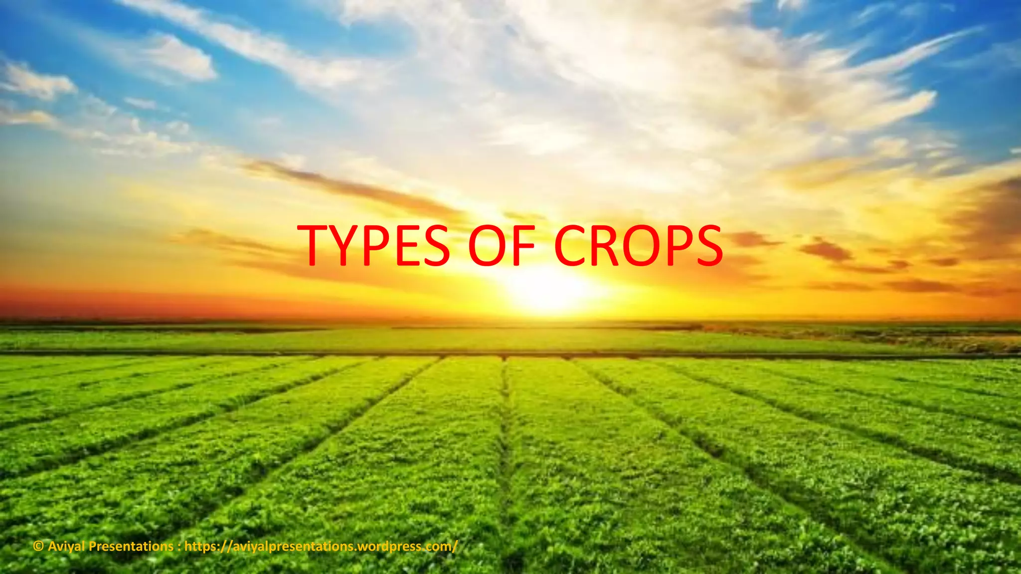 Types of crops | PDF | Agriculture | Industries