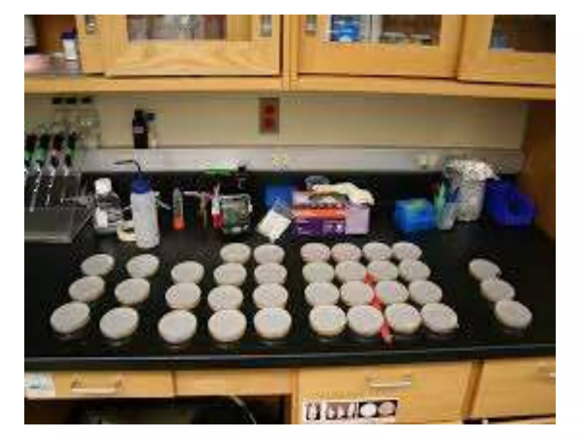 Types of culture media | PPTX