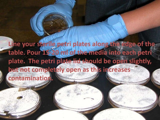 Types of culture media | PPTX | Chemistry | Science