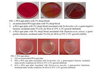 Types of culture media.pptx3.pdf 4 | PDF | Infectious Diseases ...