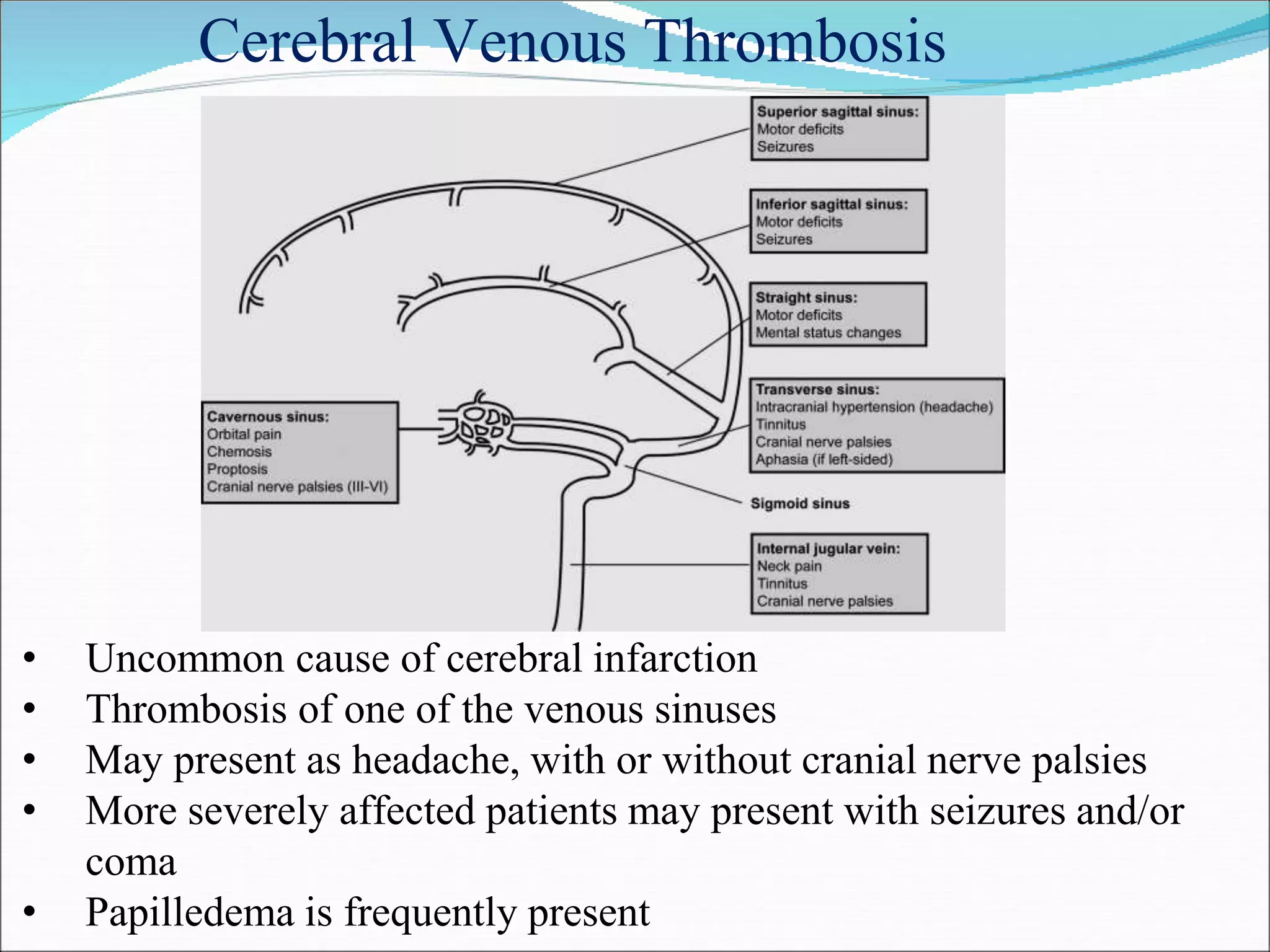 Types of cva and stroke syndromes | PPTX | Brain and Nervous System ...