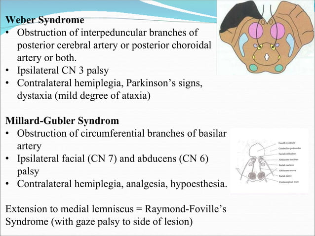 Types of cva and stroke syndromes