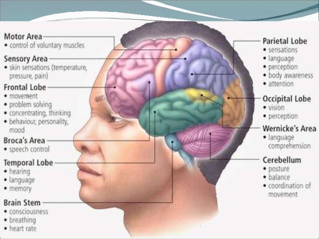 Types of cva and stroke syndromes