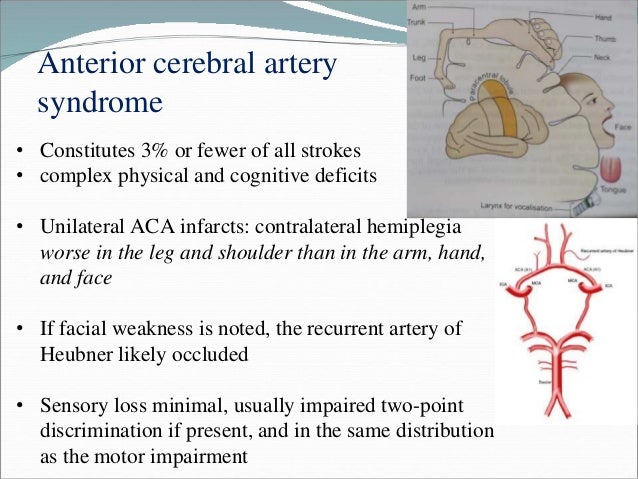 Types of cva and stroke syndromes