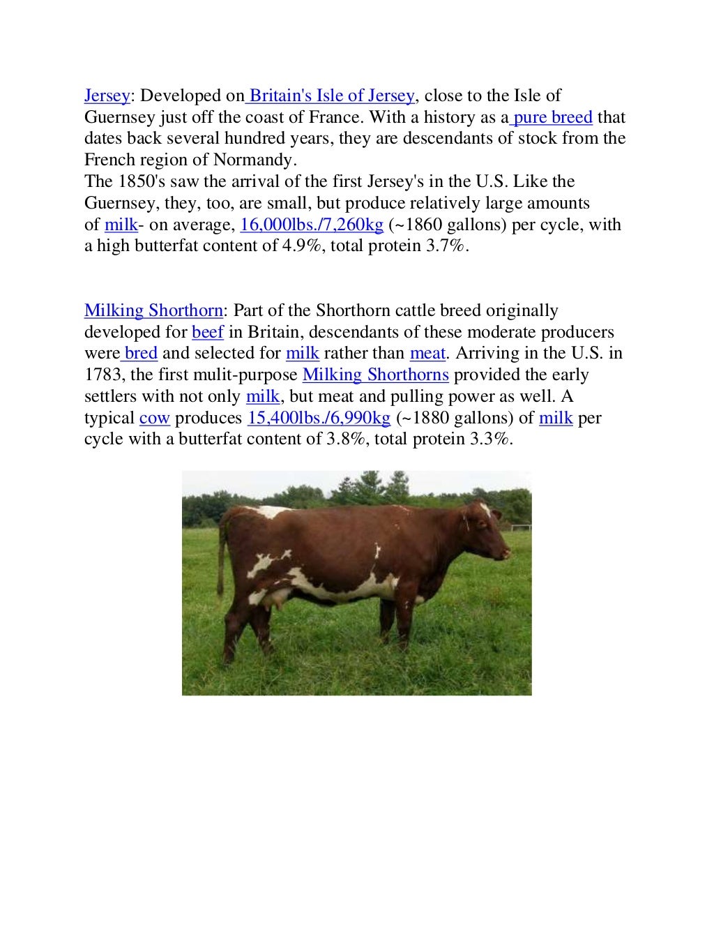 Types Of Dairy Cows