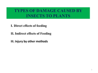 Types of Insect Pest damage in Agri or Horti crops.pptx