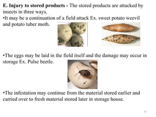 Types of Insect Pest damage in Agri or Horti crops.pptx